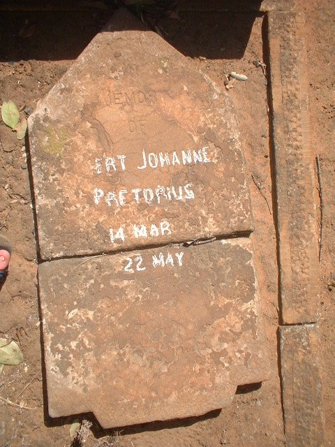 Die Pretoriusfamilie webblad