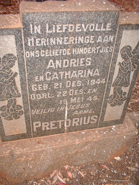 Die Pretoriusfamilie webblad